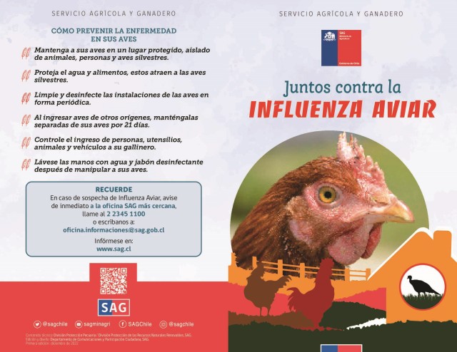 Carabineros de Osorno realizan campaña preventiva por influenza aviar ...